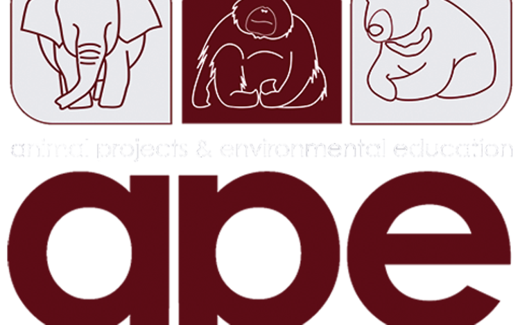 The Environment Wins Twice